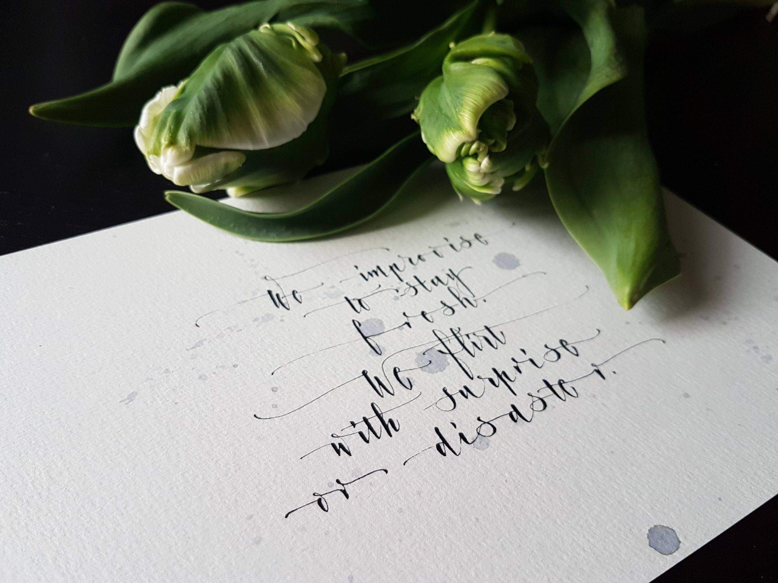 KALIGRAFICZNY FREESTYLE. O co chodzi? – Oktopi Calligraphy